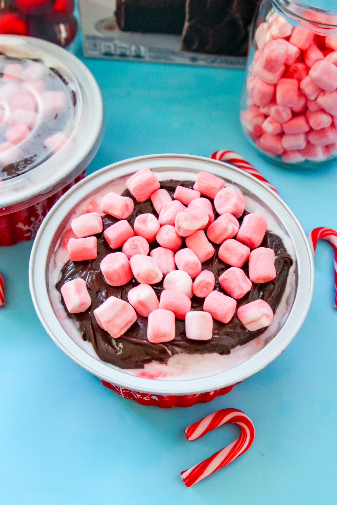 Peppermint Hot Cocoa Ice Cream Cakes - Life & Sprinkles by Taryn Camp
