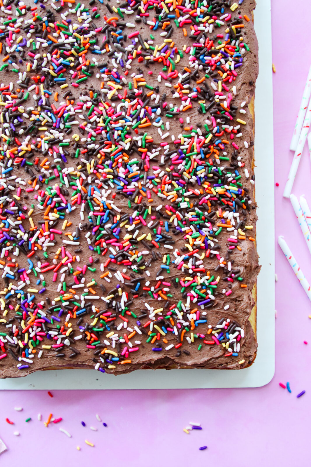 Chocolate-Frosted Confetti Party Cake - Life & Sprinkles by Taryn Camp